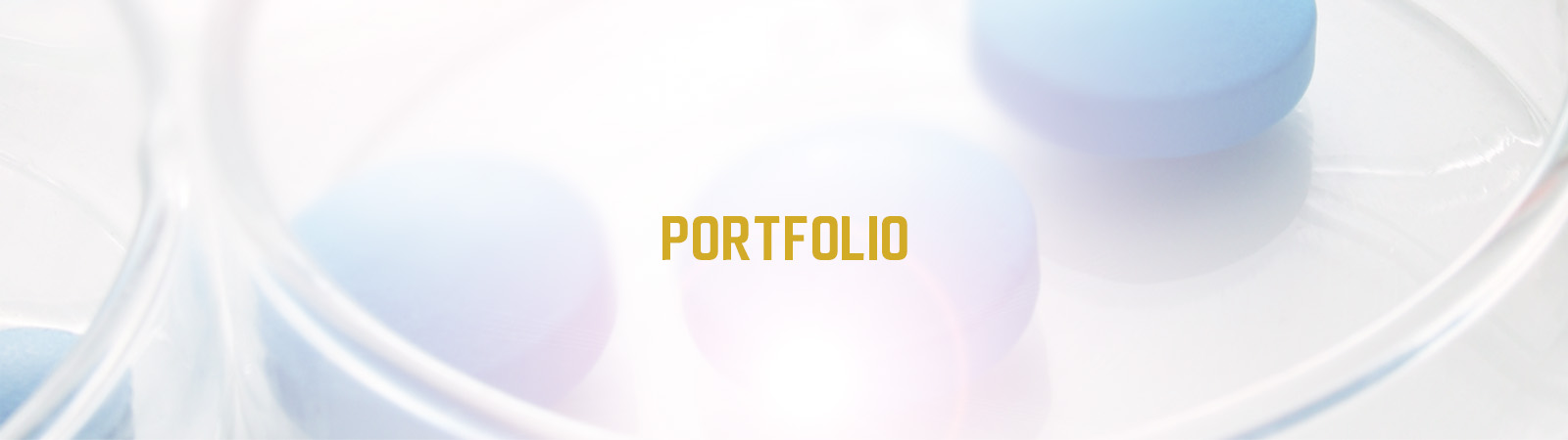 portfolio – Integra Holdings